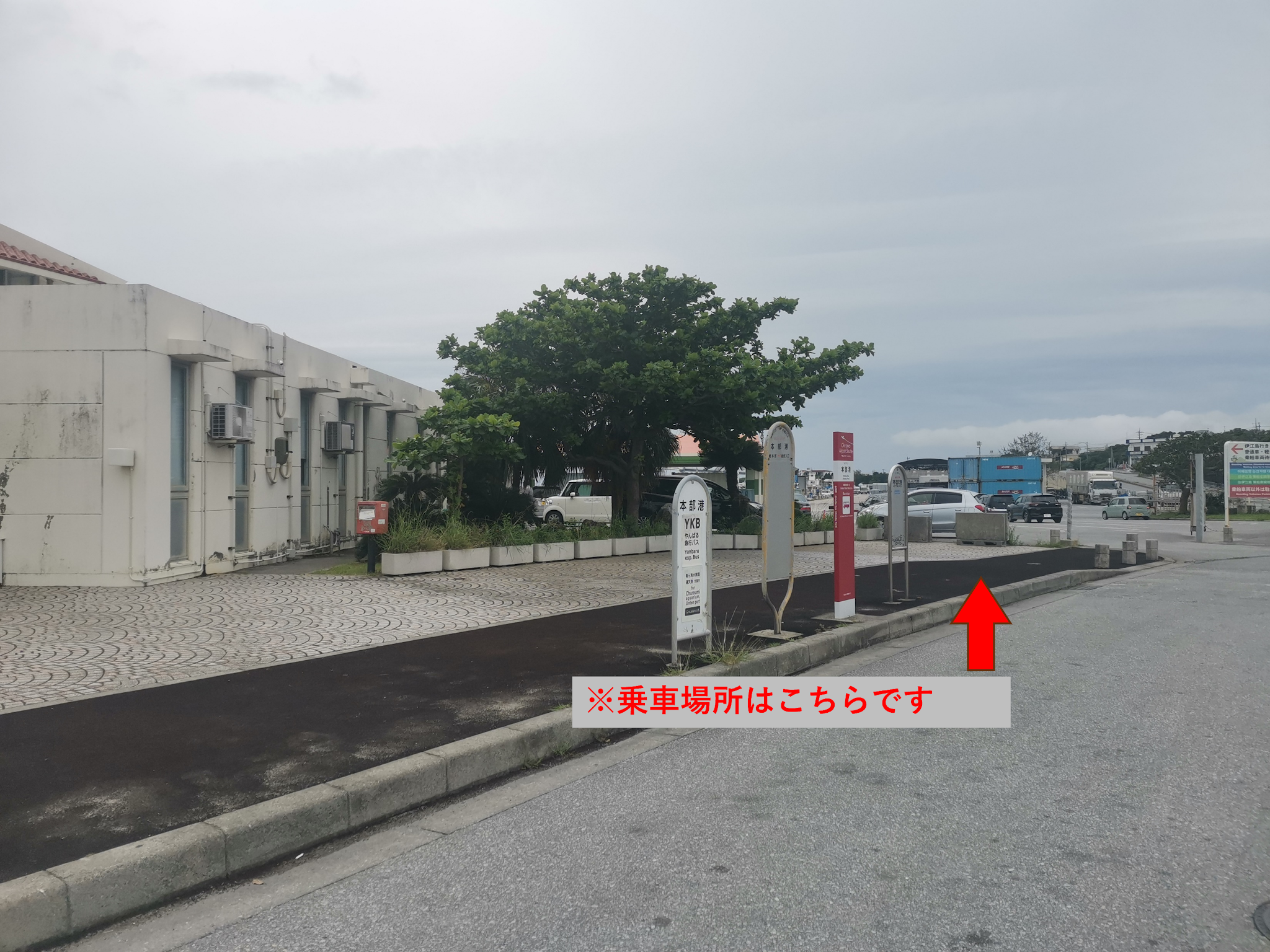 本部町内で観光周遊バスが運行しています | 本部町役場